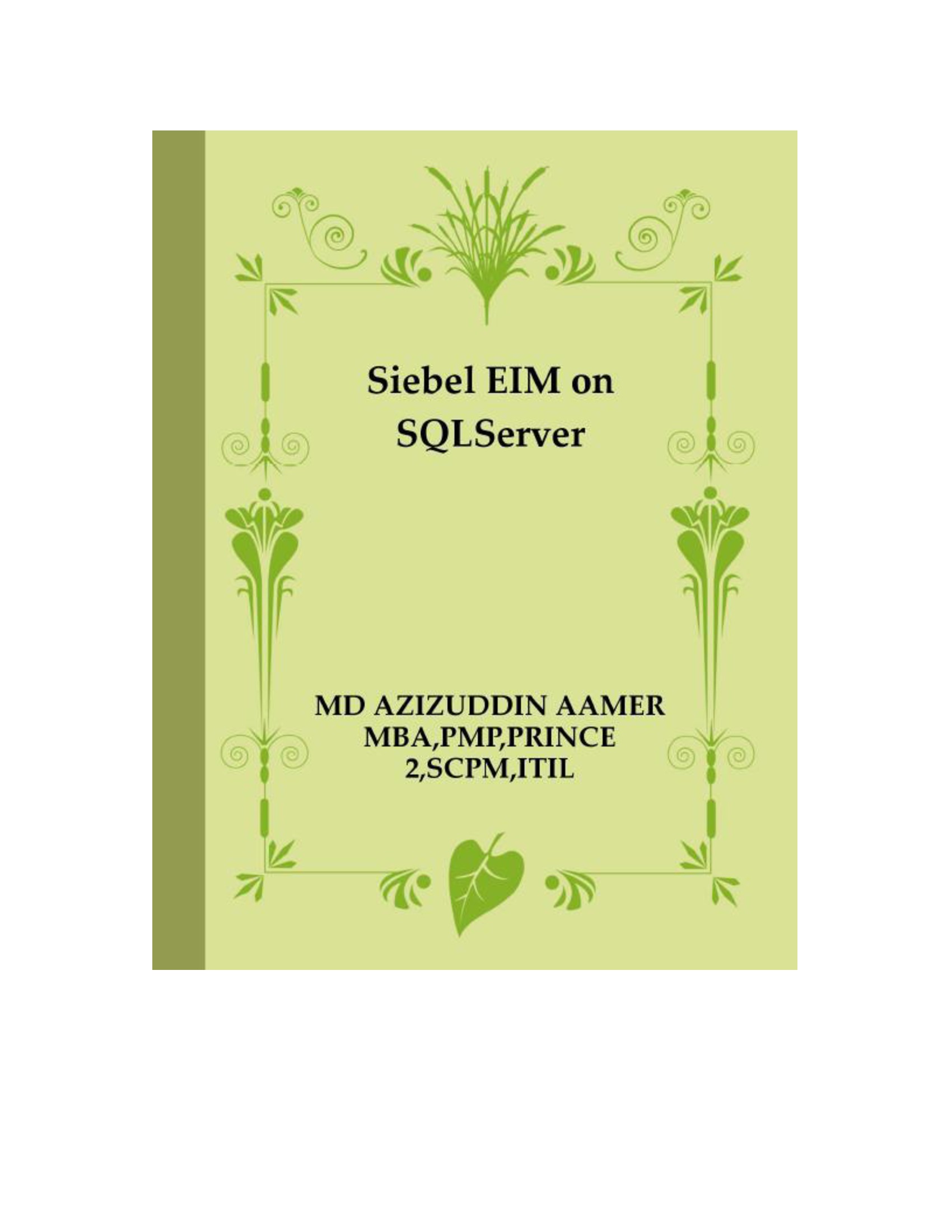 Siebel EIM on SQLServer | Pothi.com
