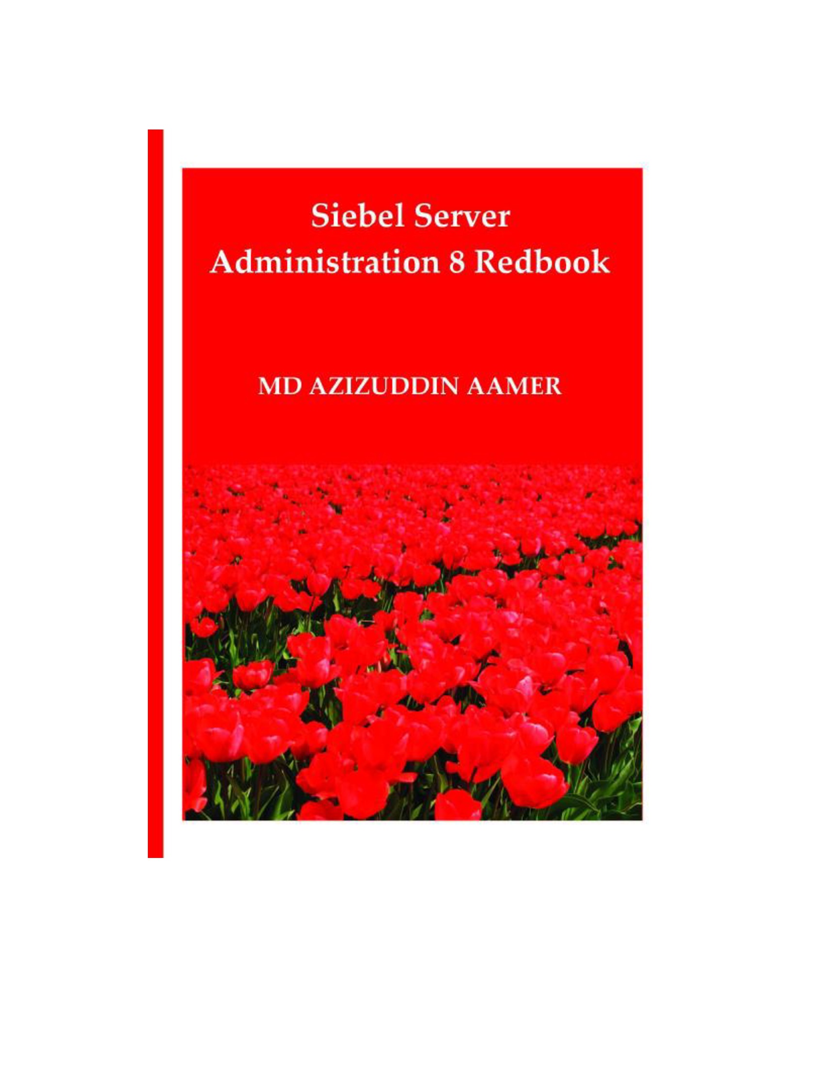 Siebel Server Administration 8 Redbook | Pothi.com