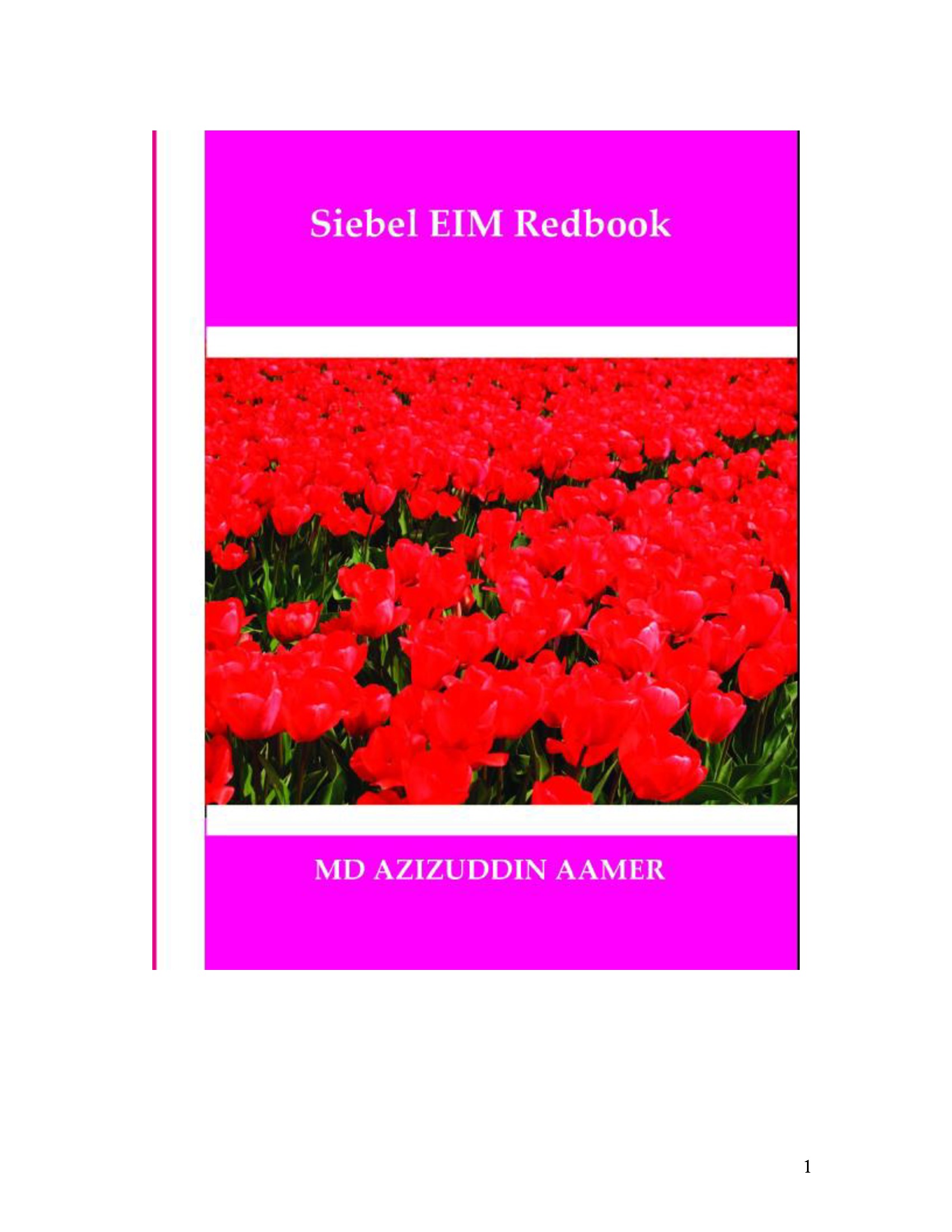 Siebel EIM Redbook | Pothi.com