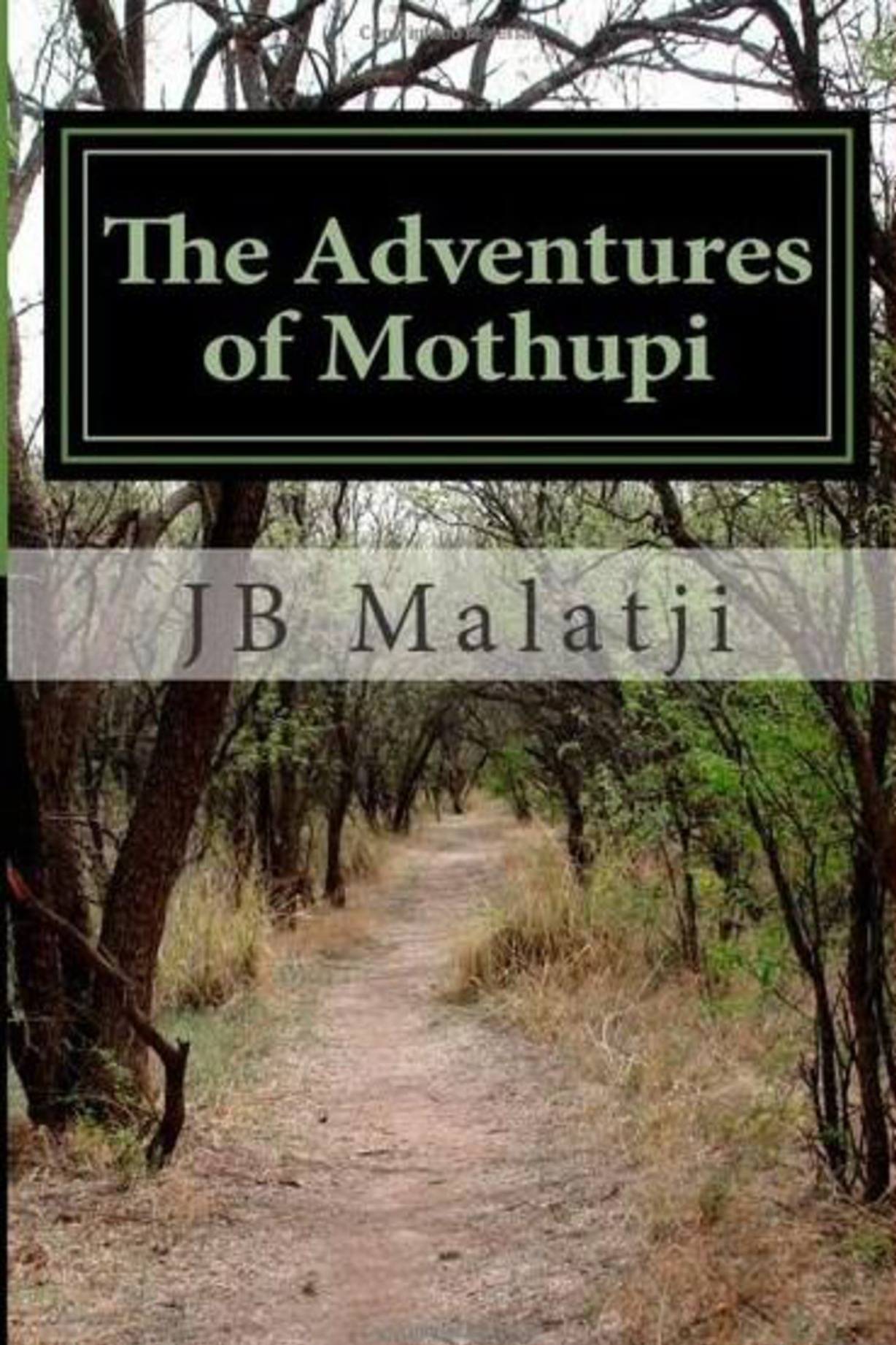 The Adventures of Mothupi: The Story of Determination, Courage and Hope ...