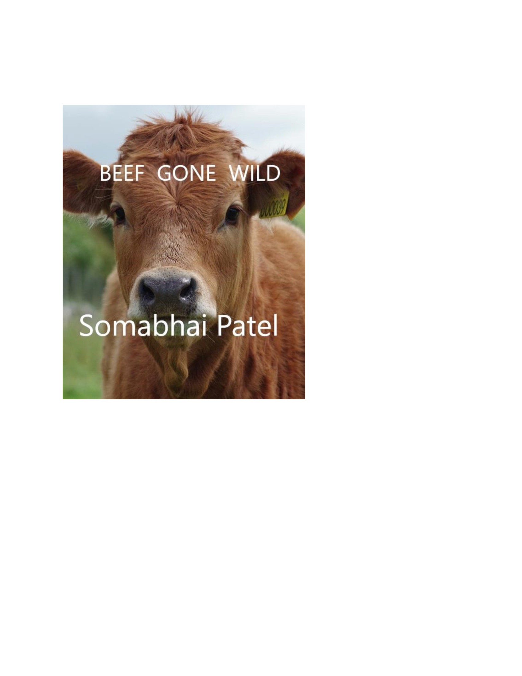 Beef Gone Wild | Pothi.com