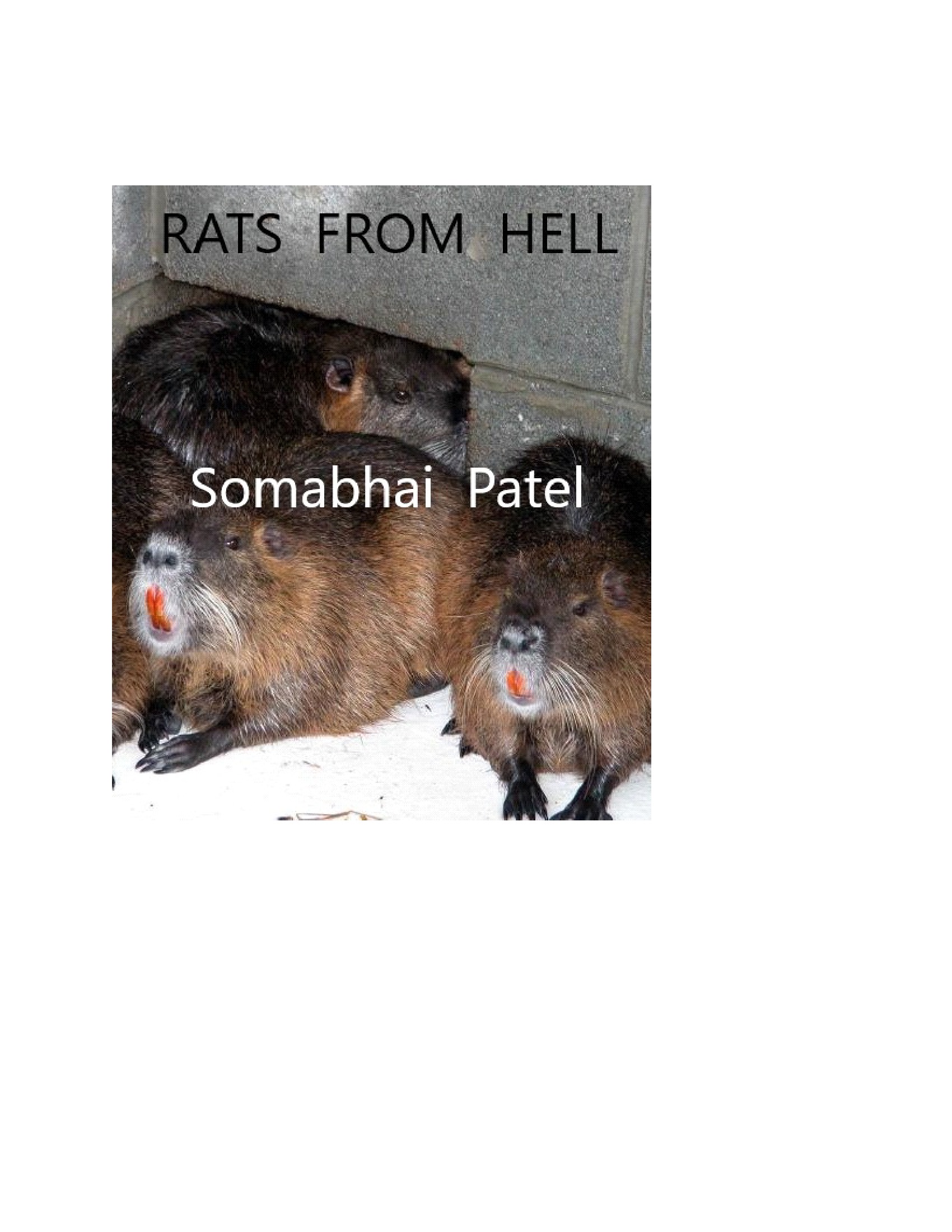 Rats From Hell | Pothi.com