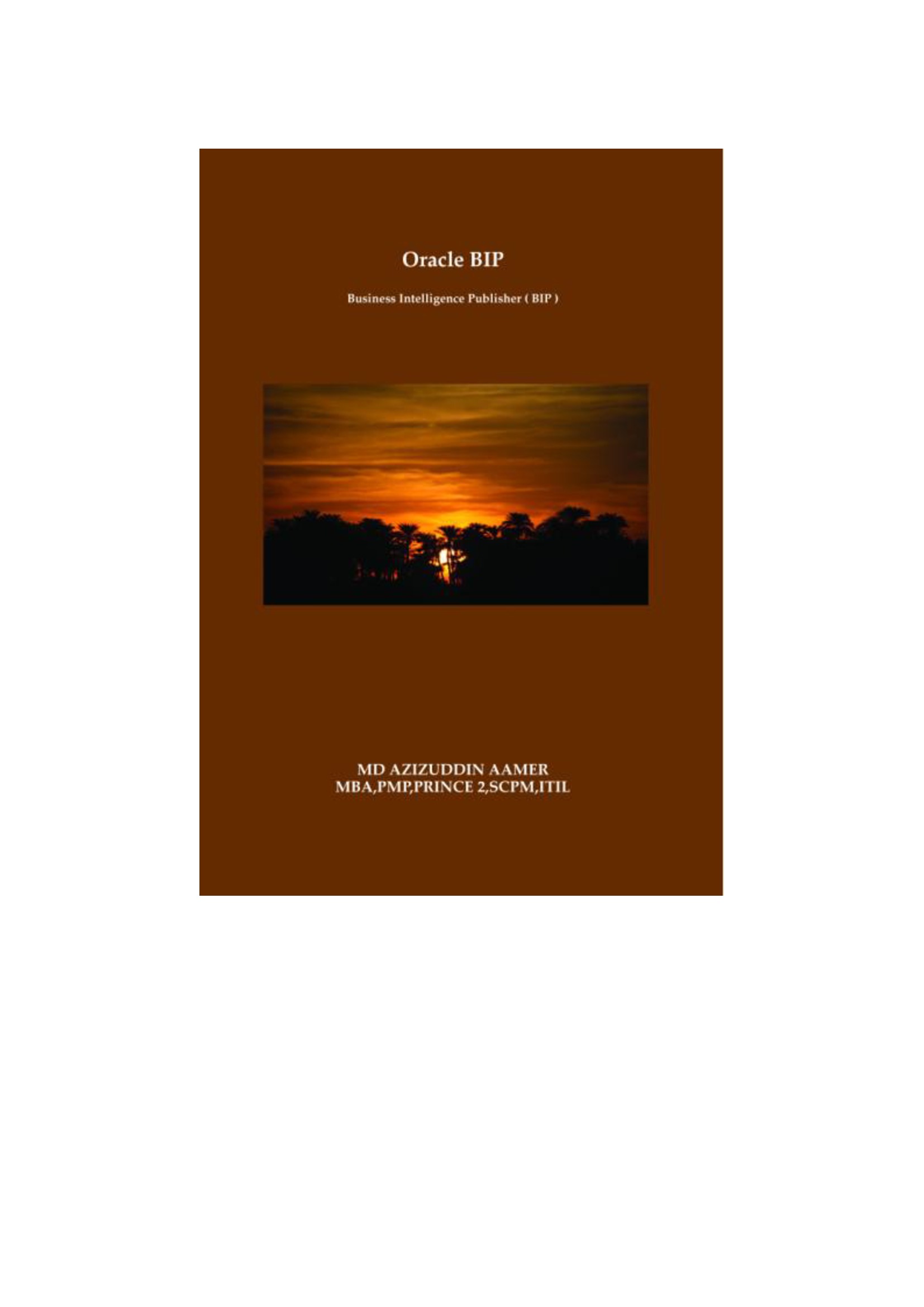 Oracle BIP Guide | Pothi.com