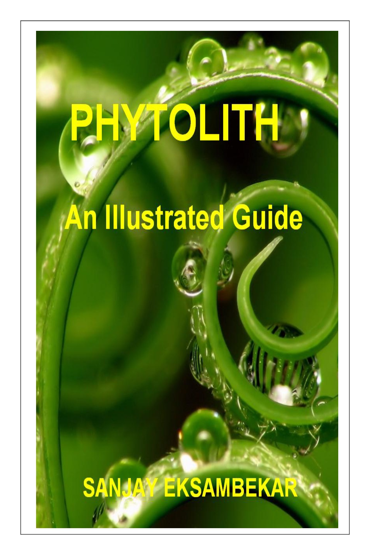 Phytolith | Pothi.com