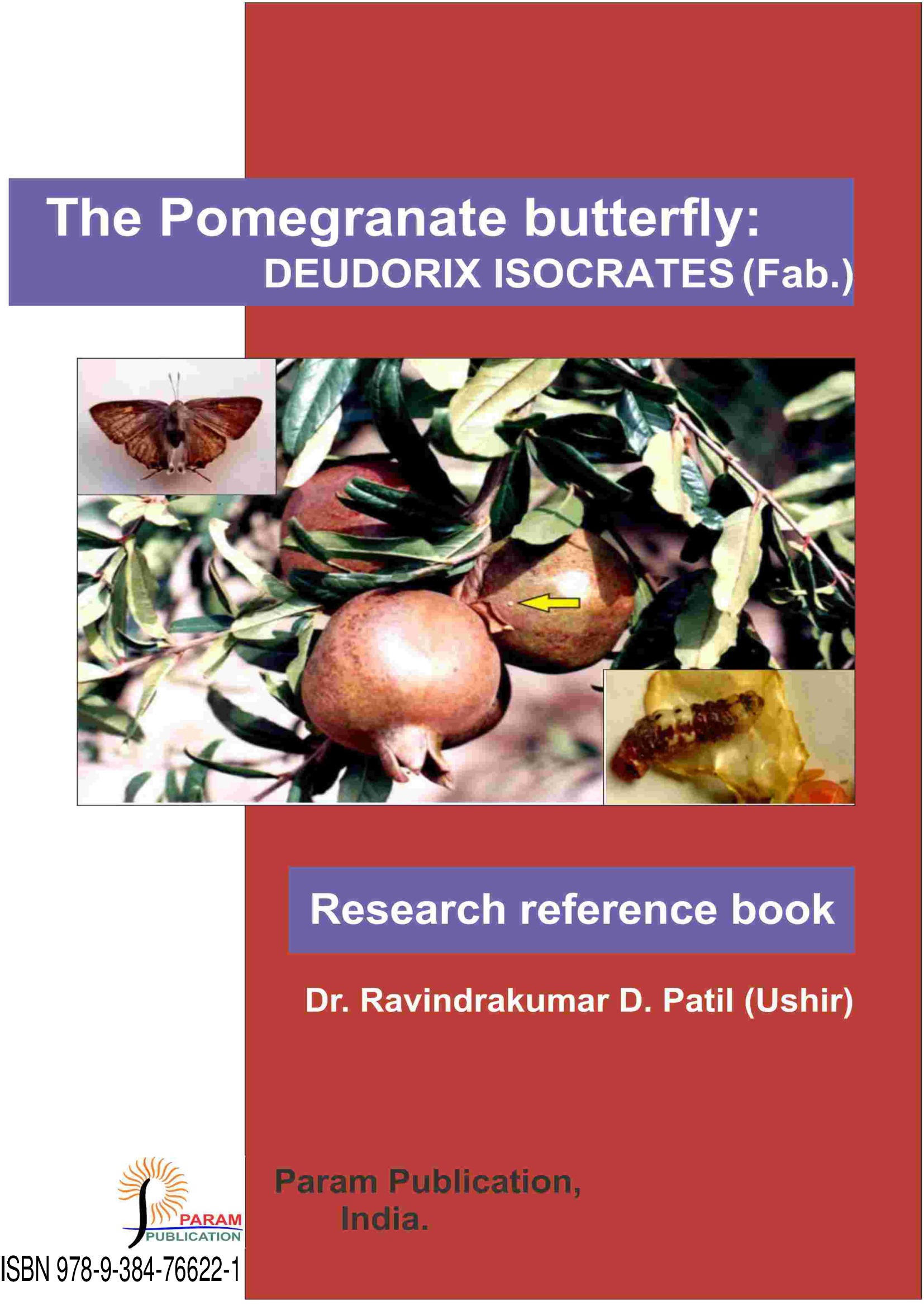 The Pomegranate Butterfly: Deudorix isocrates (feb.) | Pothi.com