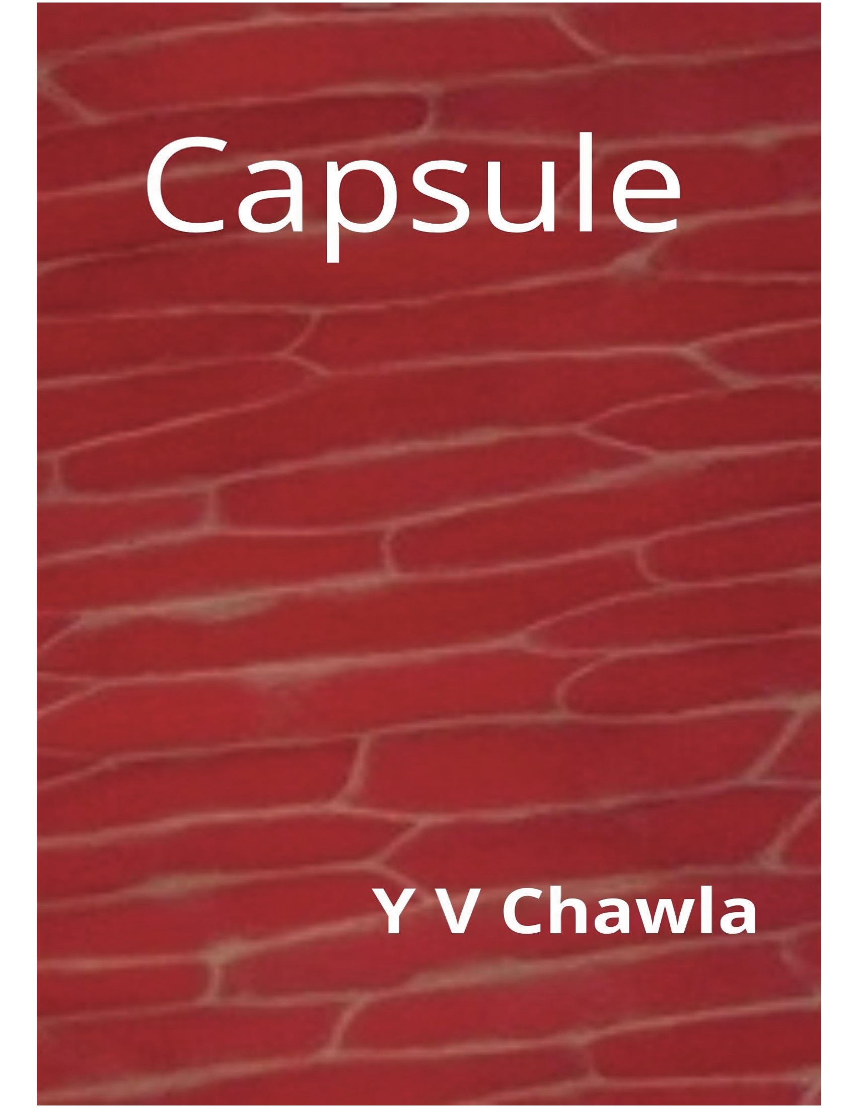 Capsule | Pothi.com