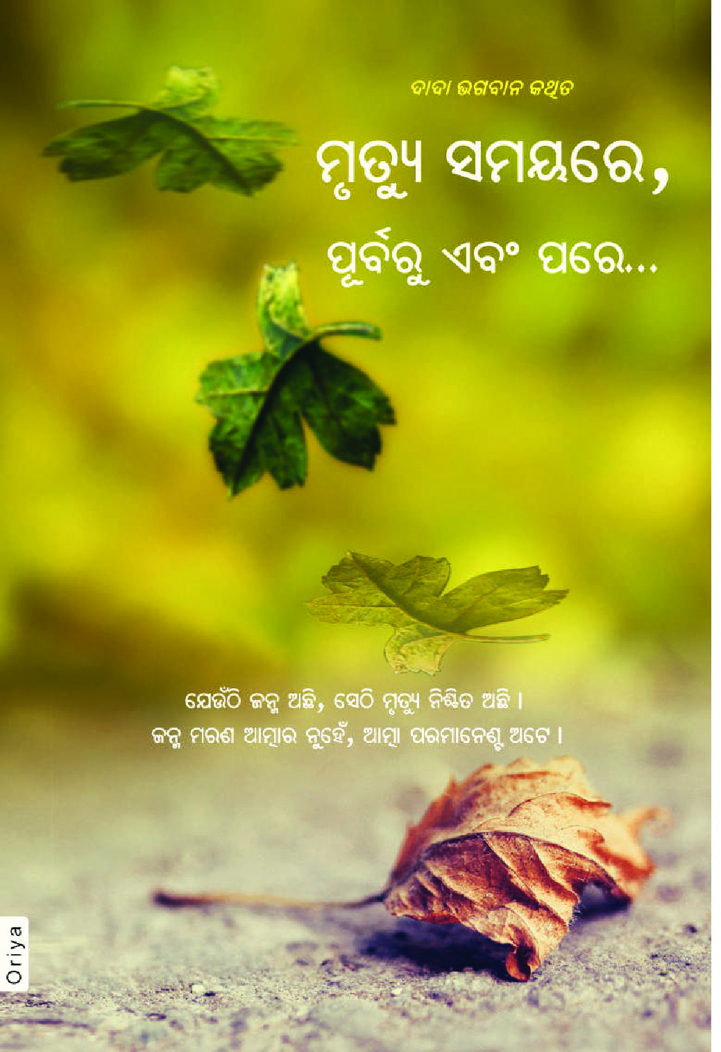 Death: Before, During & After... (In Oriya) | Pothi.com