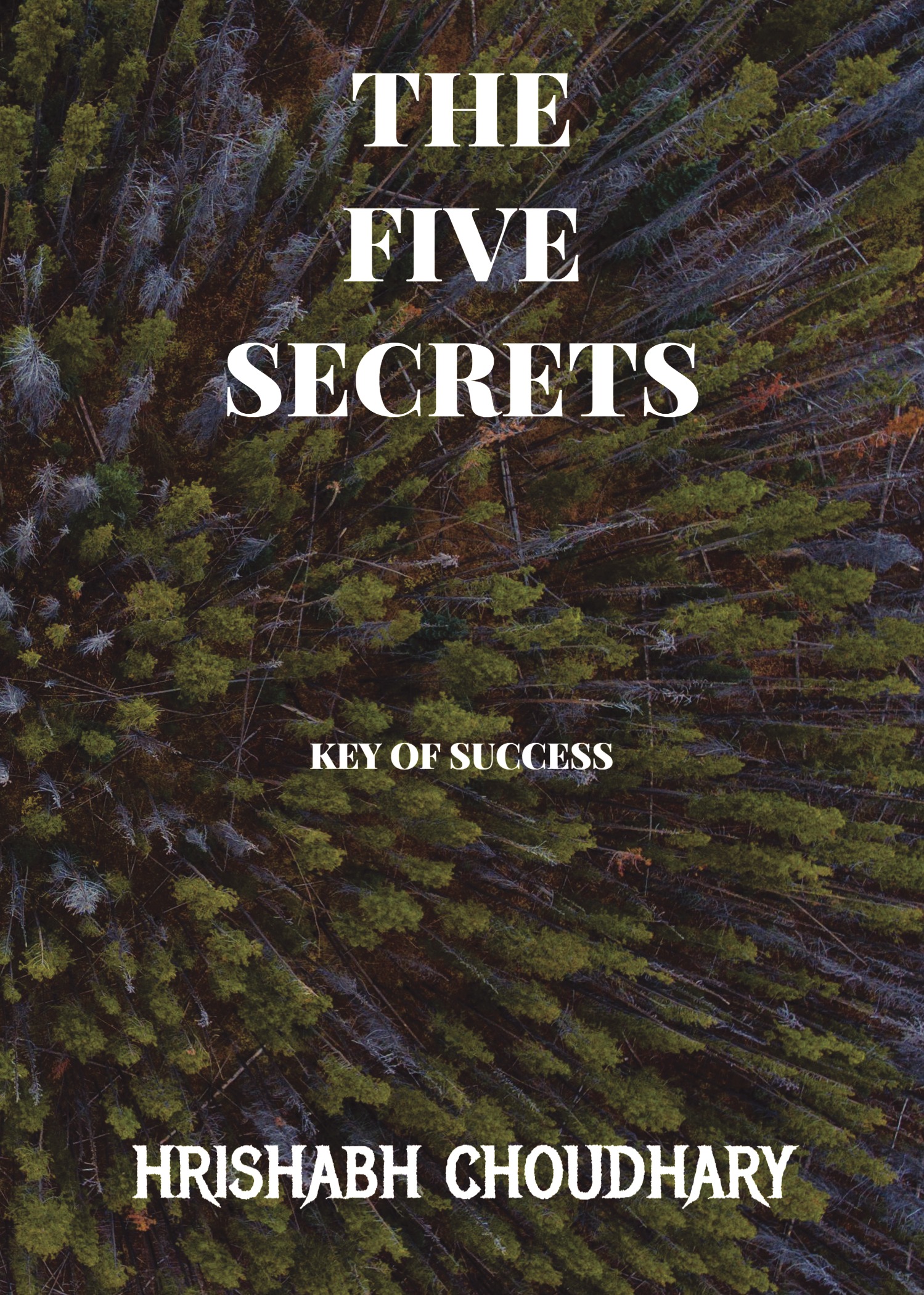 THE FIVE SECRETS | Pothi.com