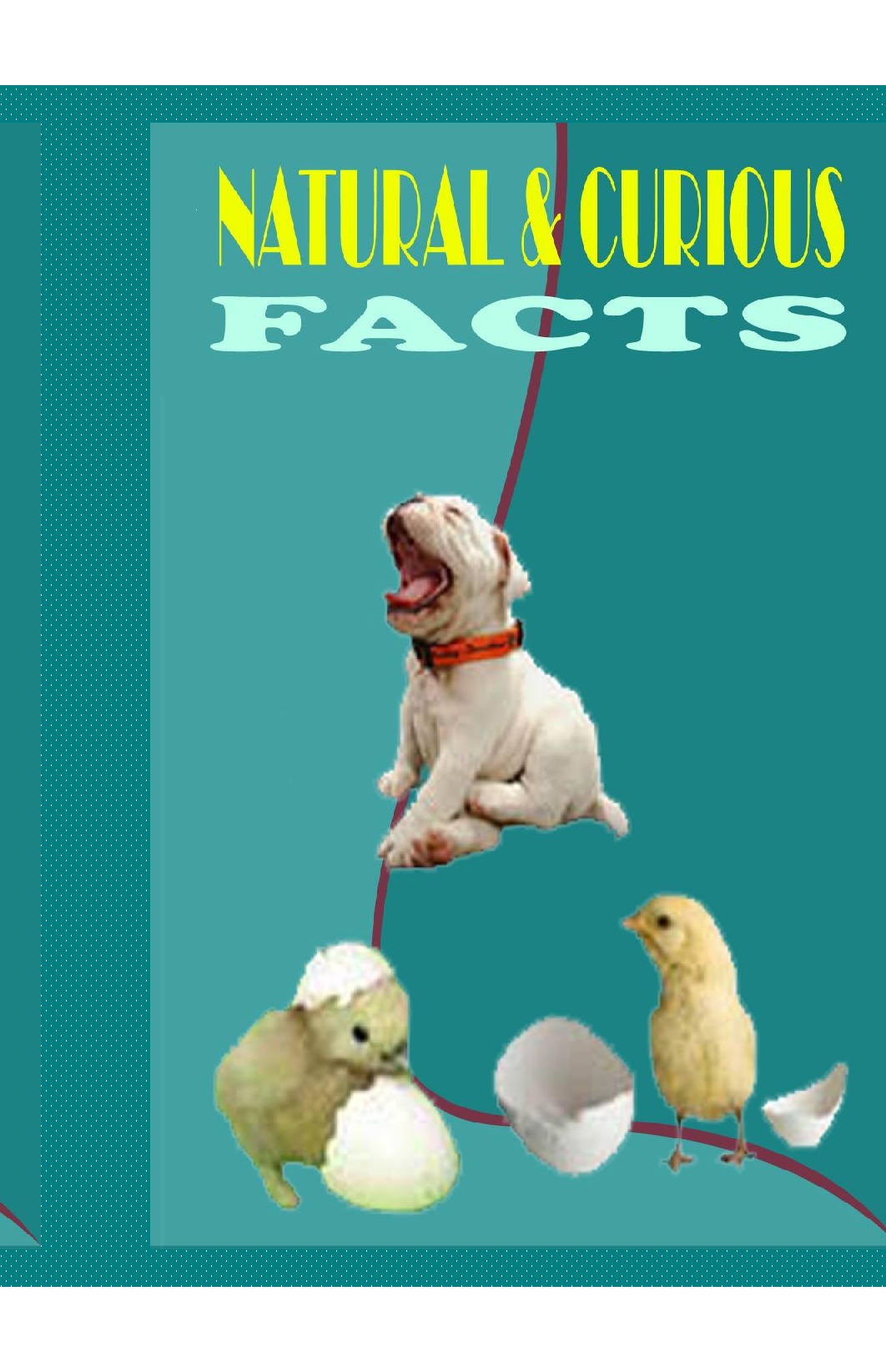 Natural & Curious Facts | Pothi.com