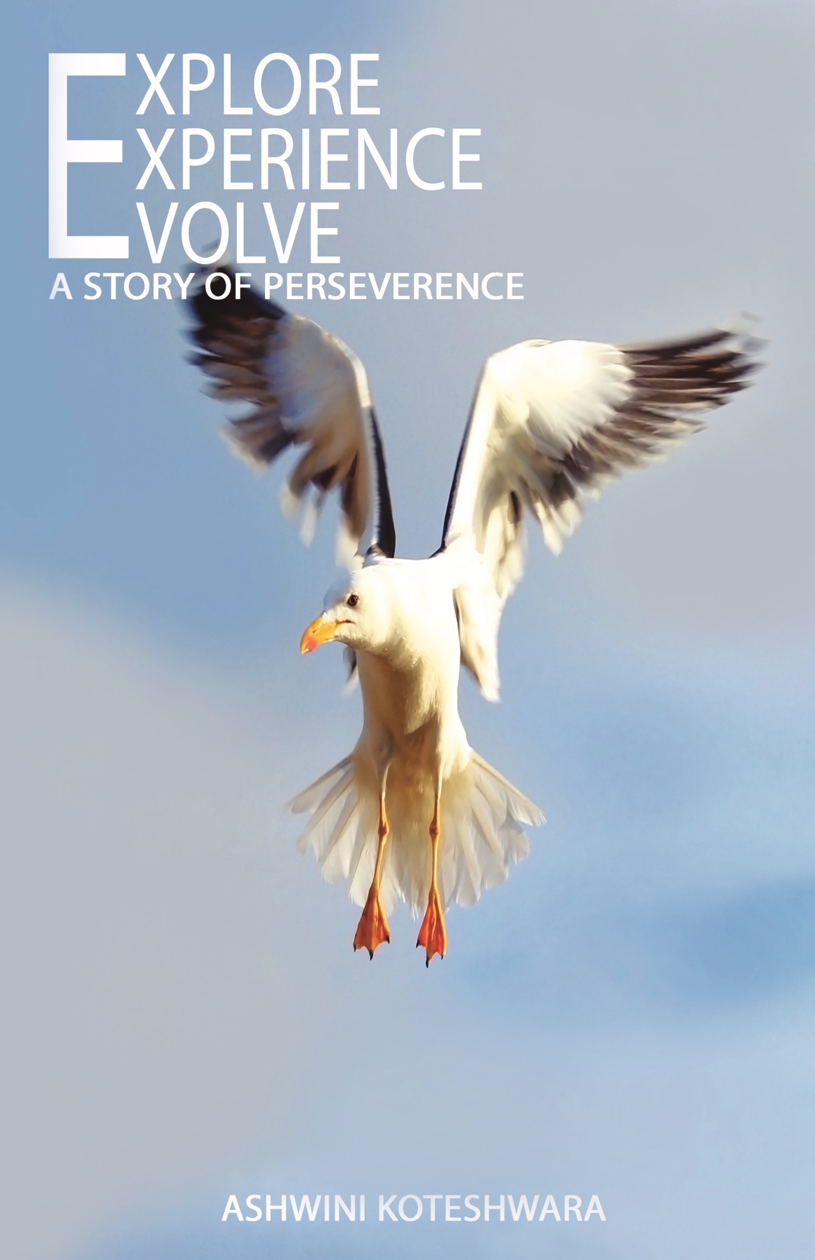 Explore Experience Evolve | Pothi.com