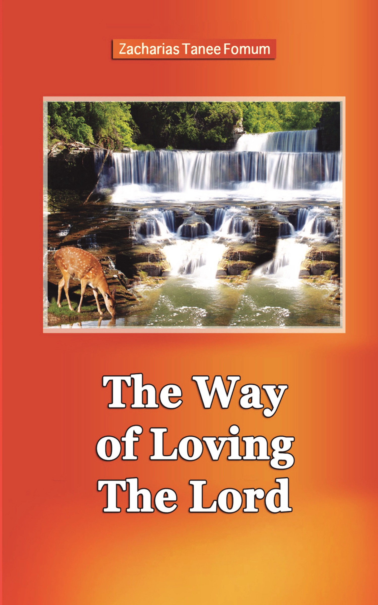 The Way of Loving The Lord | Pothi.com