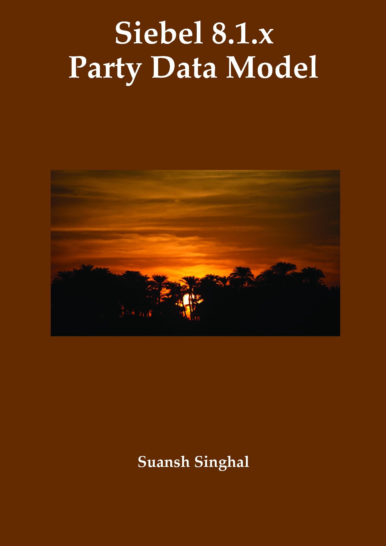 Siebel 8.1.x - Party Data Model (Paperback) | Pothi.com