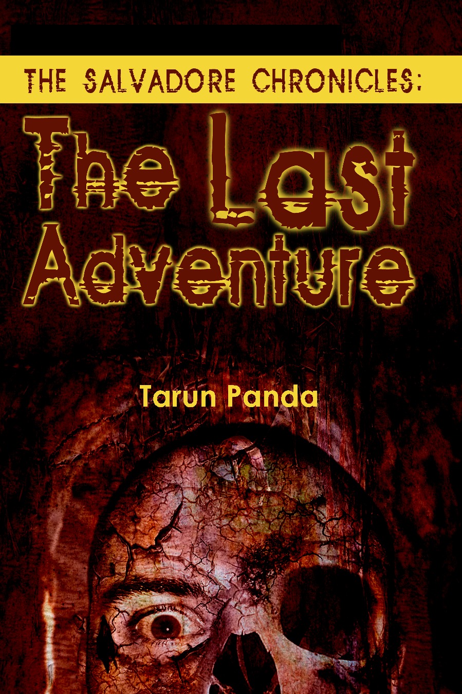 The Salvadore Chronicles: The Last Adventure | Pothi.com