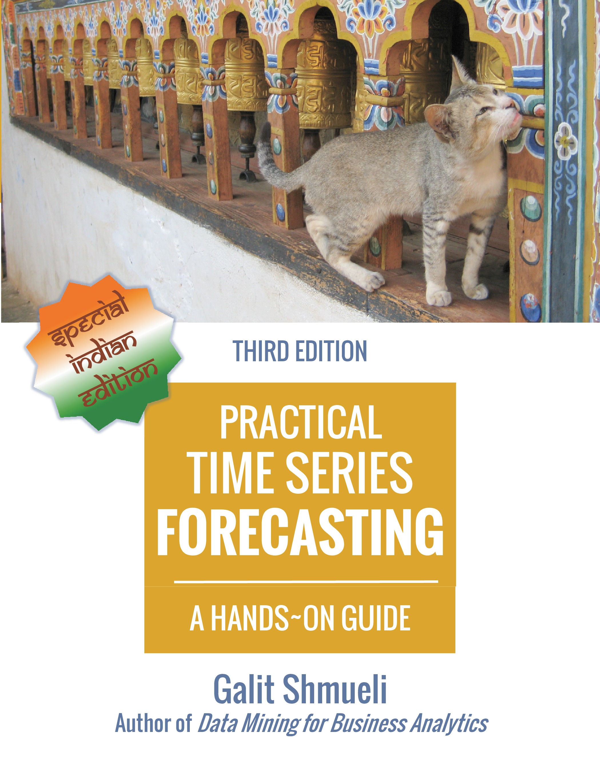 Practical Time Series Forecasting | Pothi.com