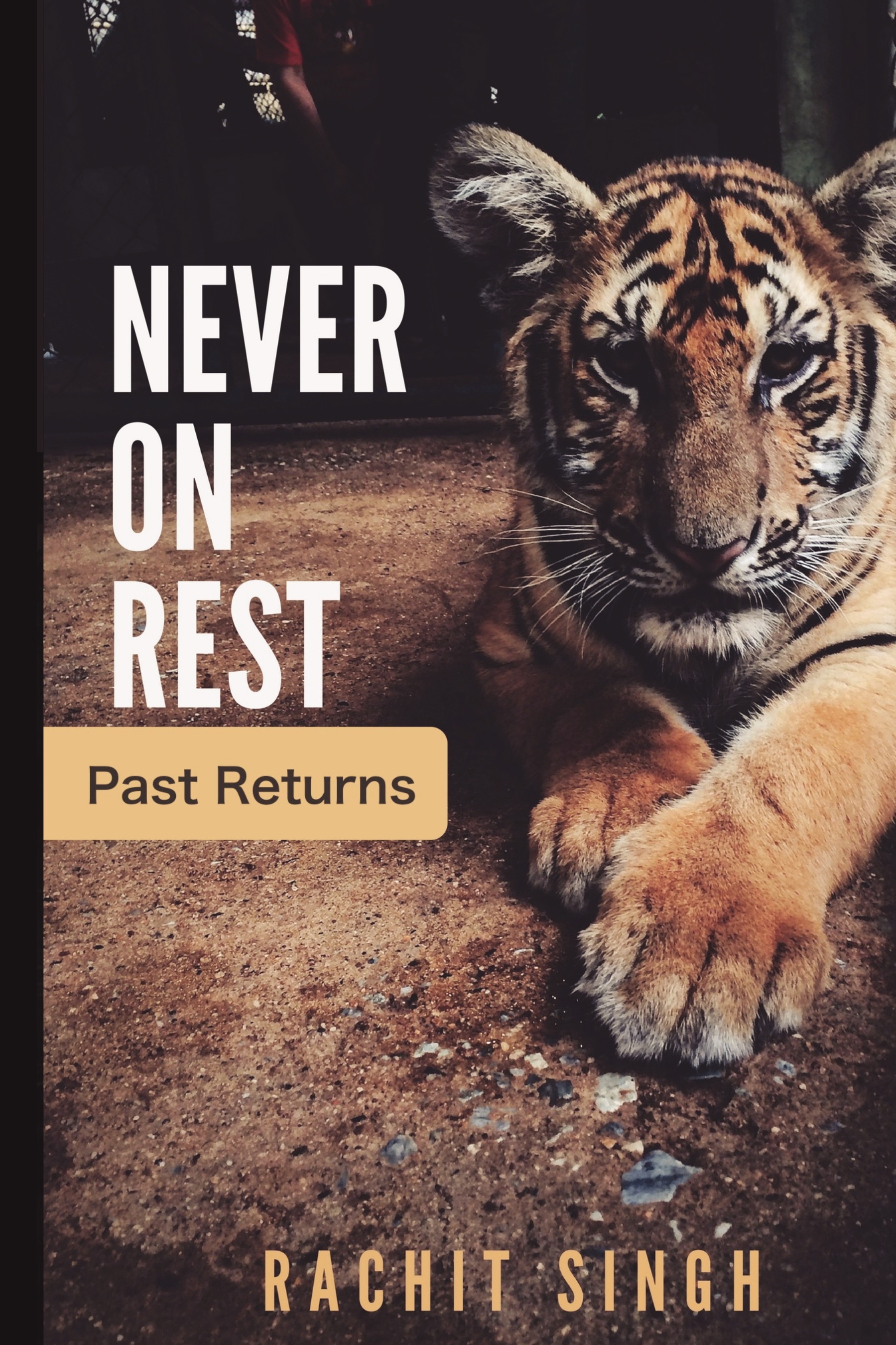 Never On Rest : Past Returns | Pothi.com