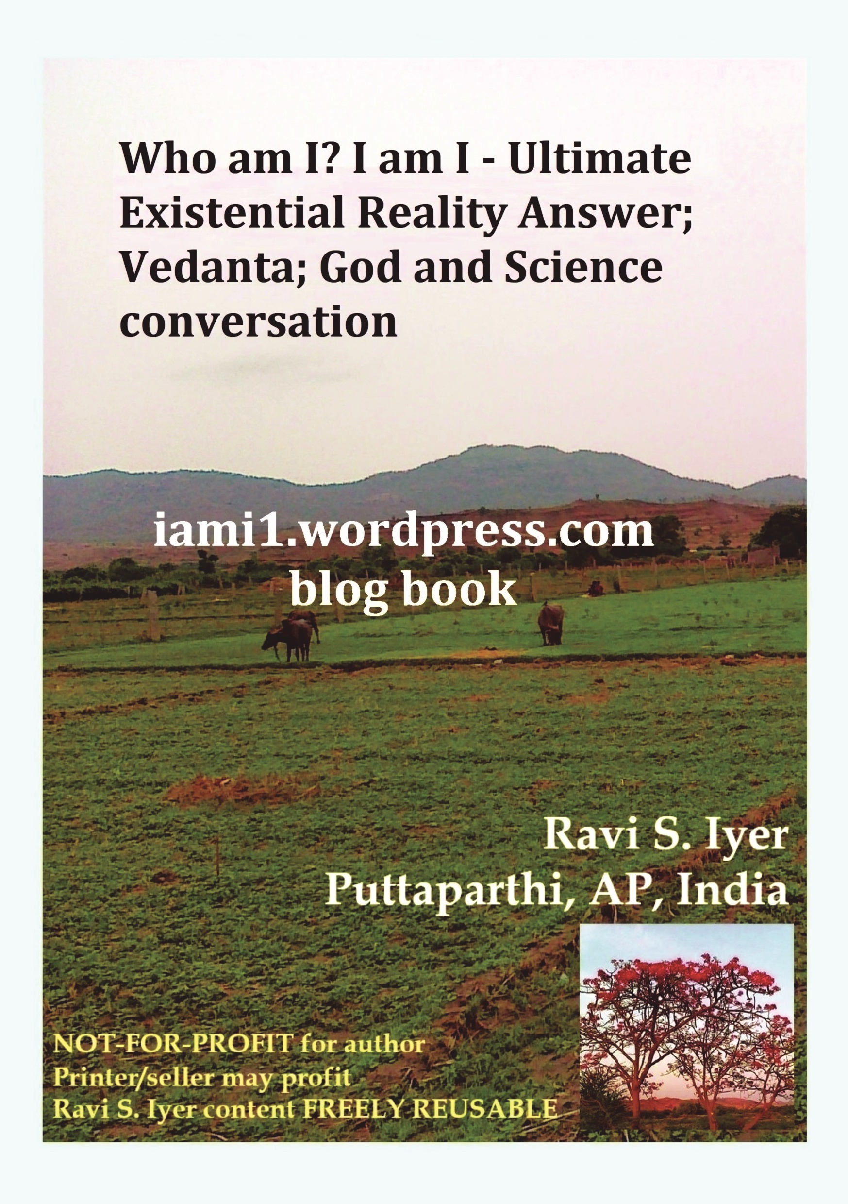 Who am I? I am I - Ultimate Existential Reality Answer; Vedanta; God and Science conversation ...