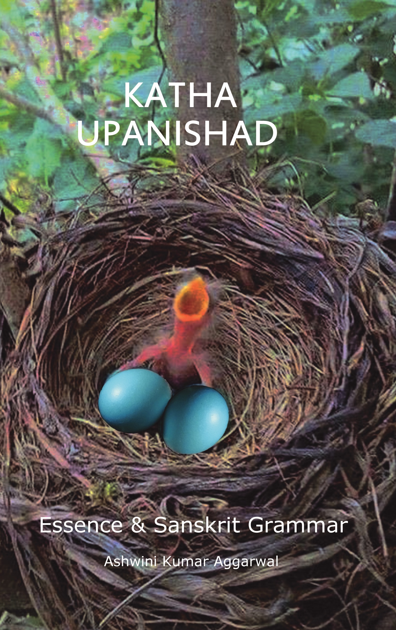 Katha Upanishad | Pothi.com