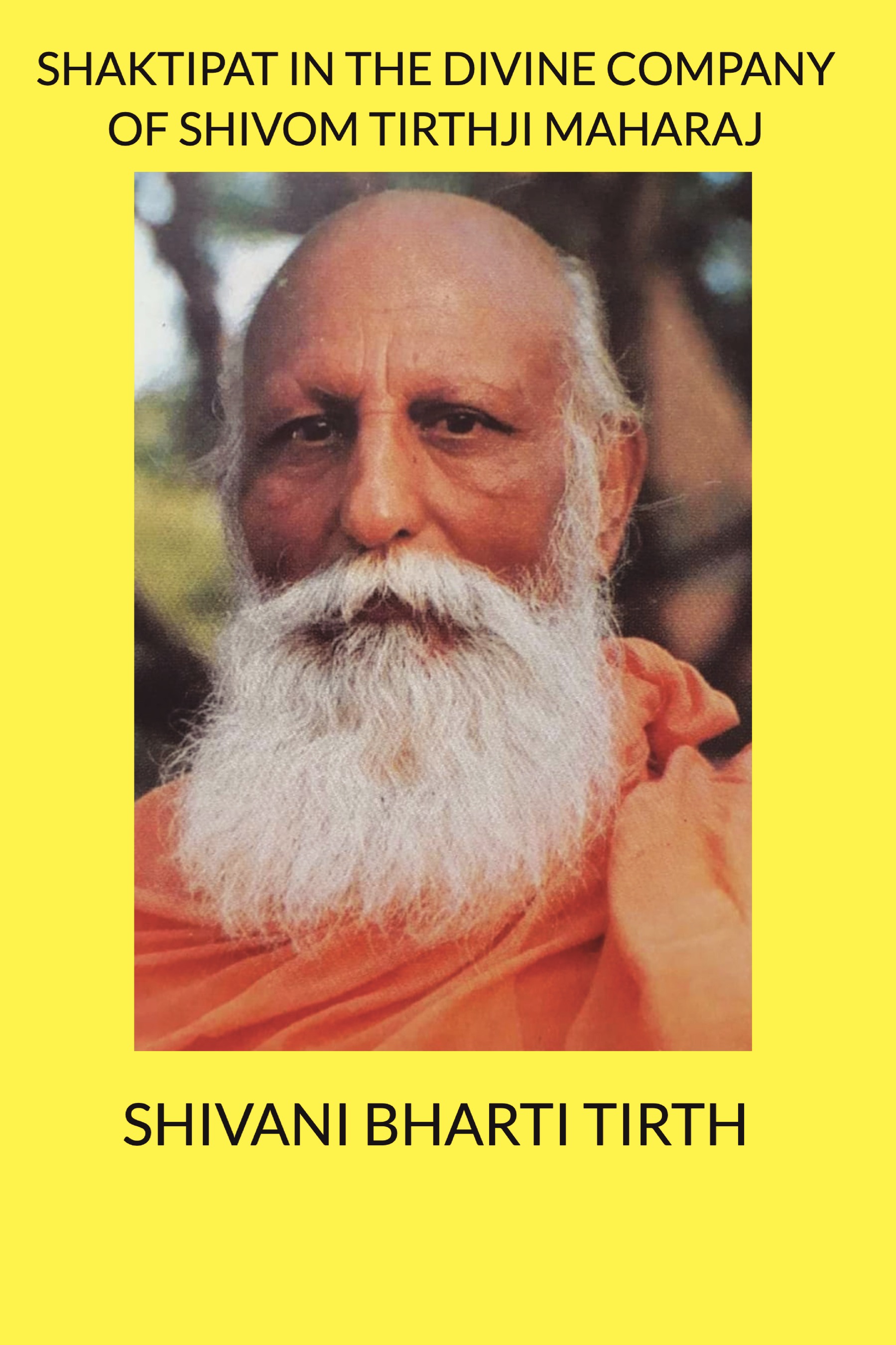 SHAKTIPAT IN THE DIVINE COMPANY OF SHIVOMTIRTHJI MAHAHRAJ | Pothi.com