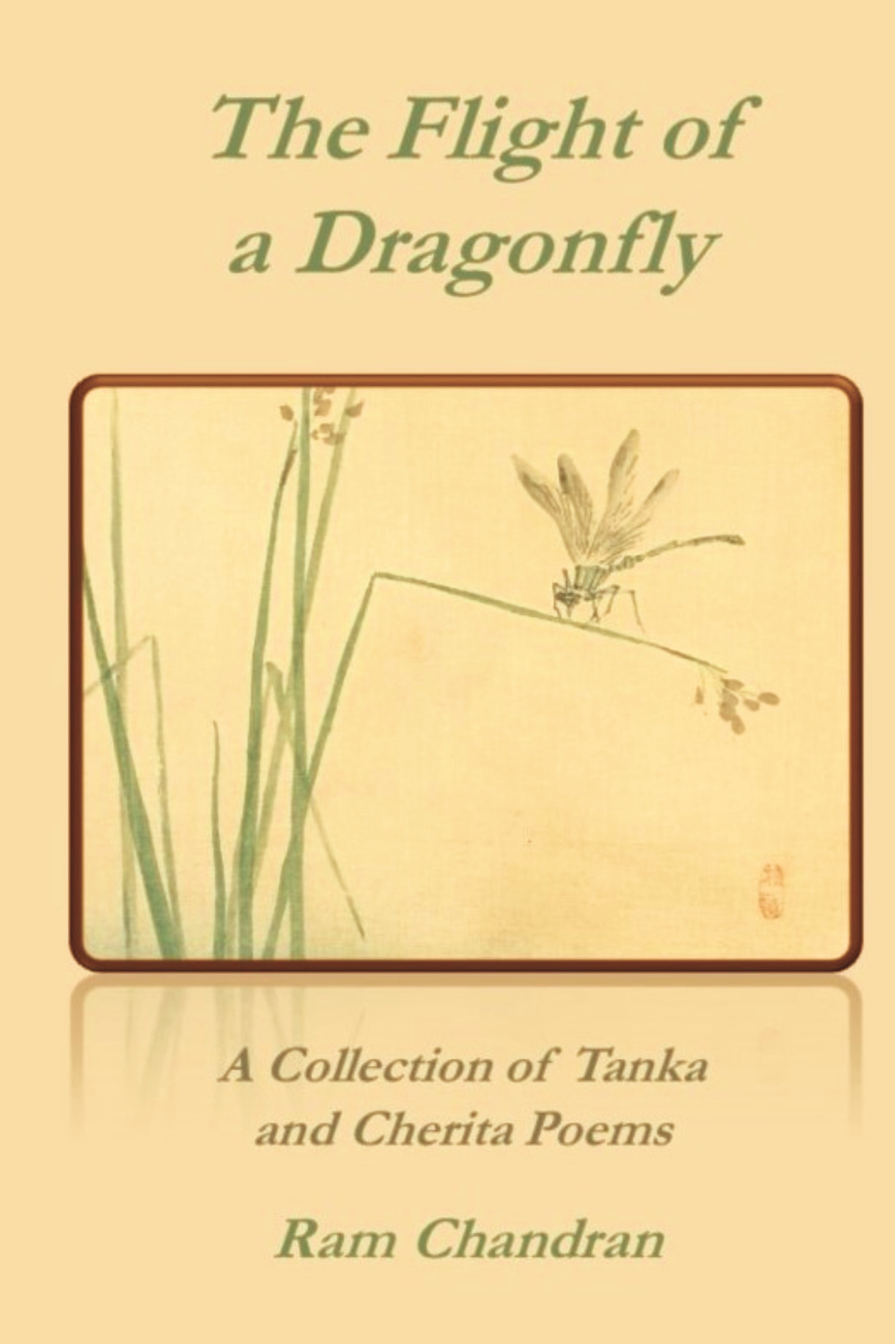 The Flight of a Dragonfly | Pothi.com
