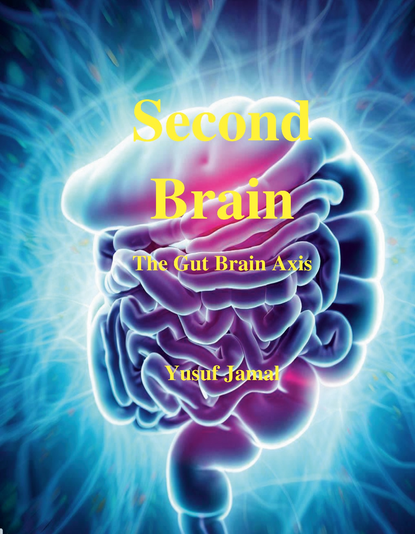 Second Brain | Pothi.com