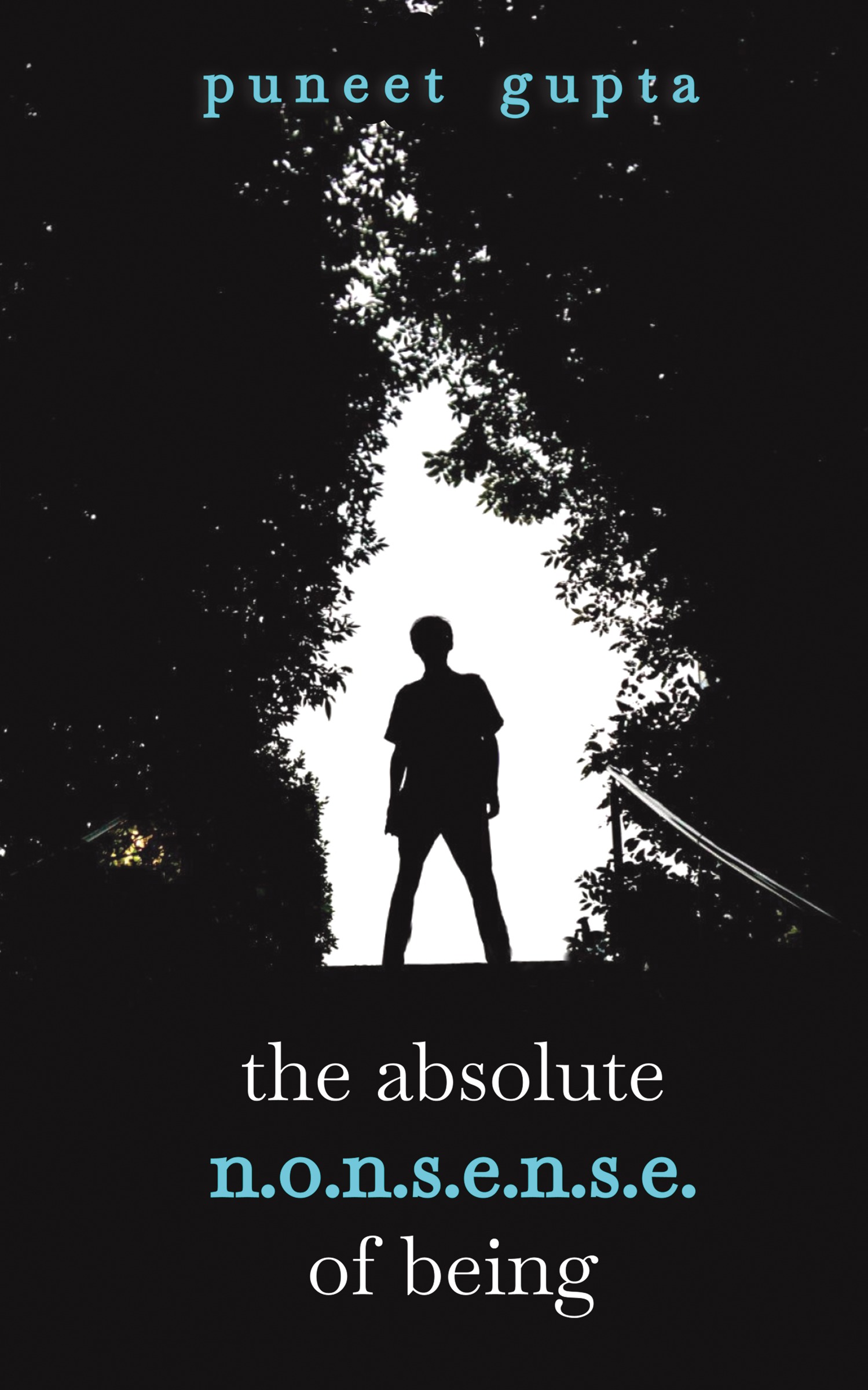 The Absolute Nonsense of Being | Pothi.com