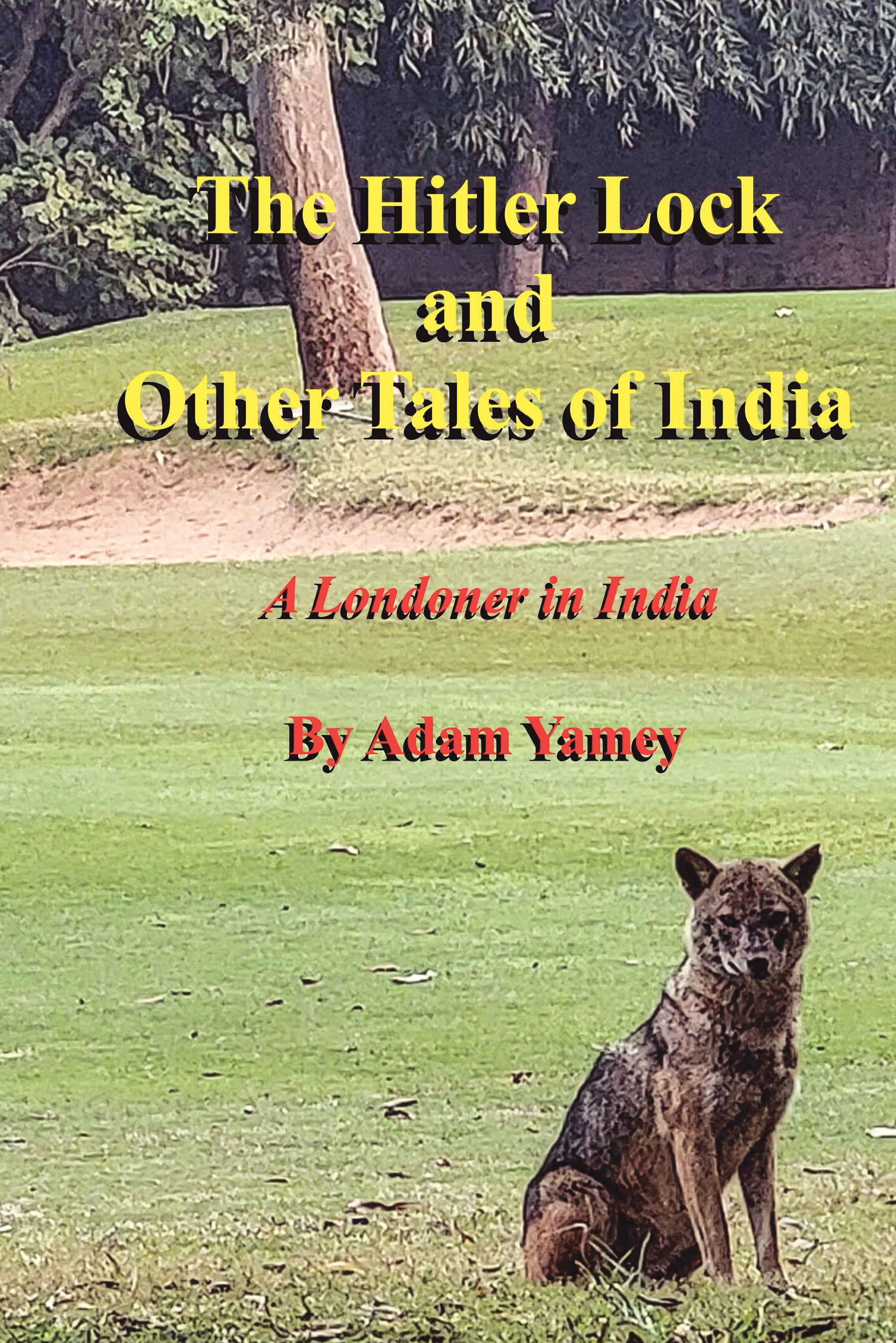 The Hitler Lock and Other Tales of India | Pothi.com