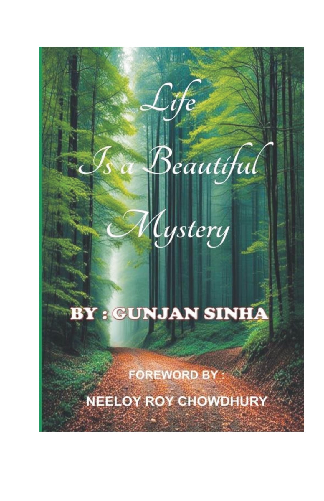 LIFE IS A BEAUTIFUL MYSTERY | Pothi.com