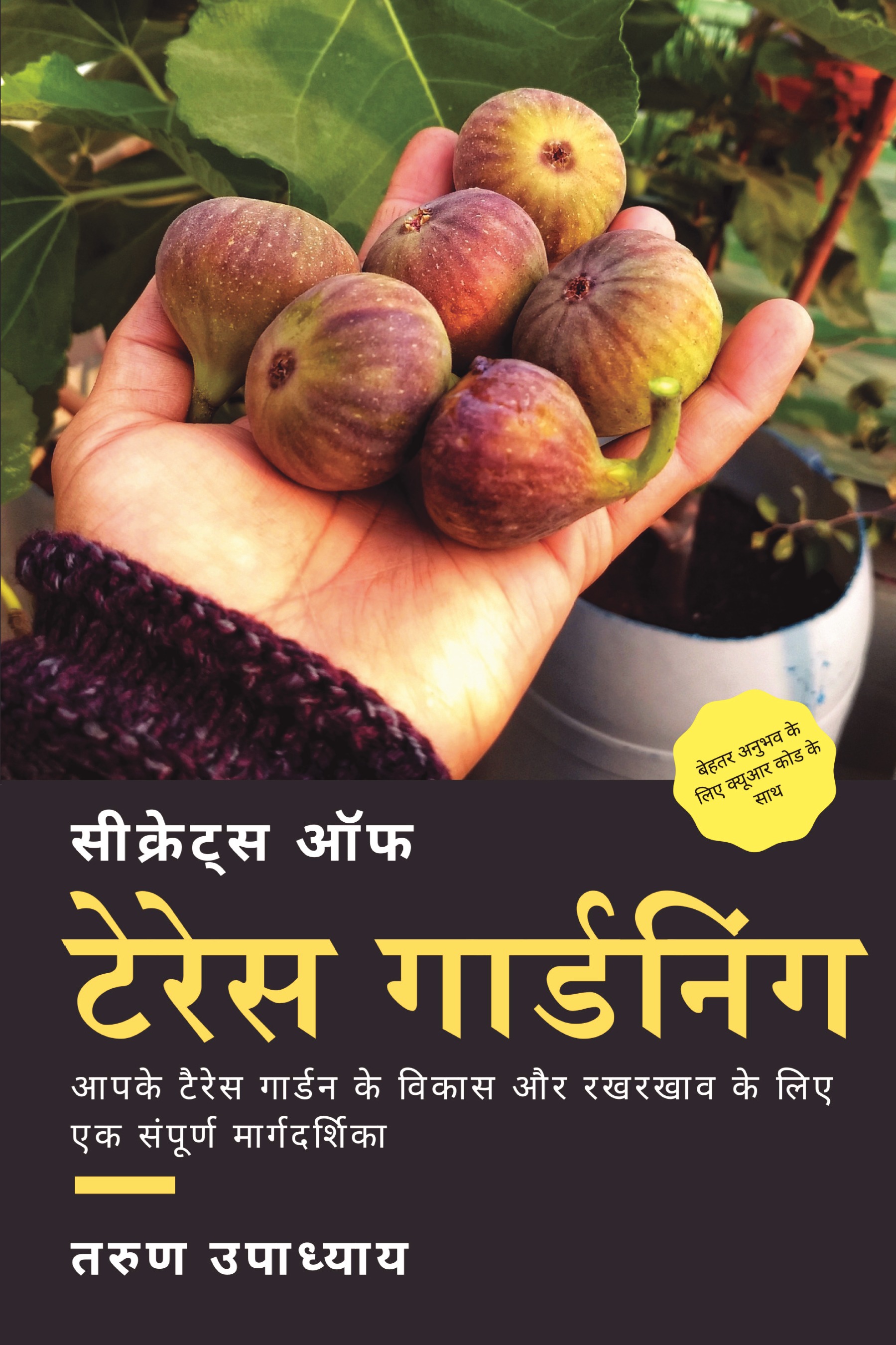 Secrets of Terrace Gardening (Hindi Edition) | Pothi.com