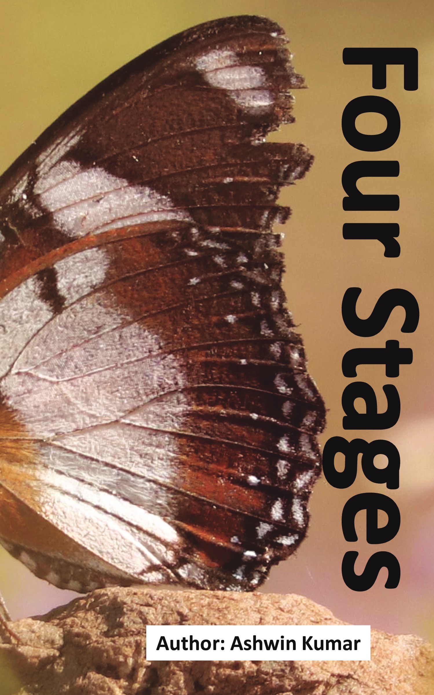 Four stages of self-transformation | Pothi.com