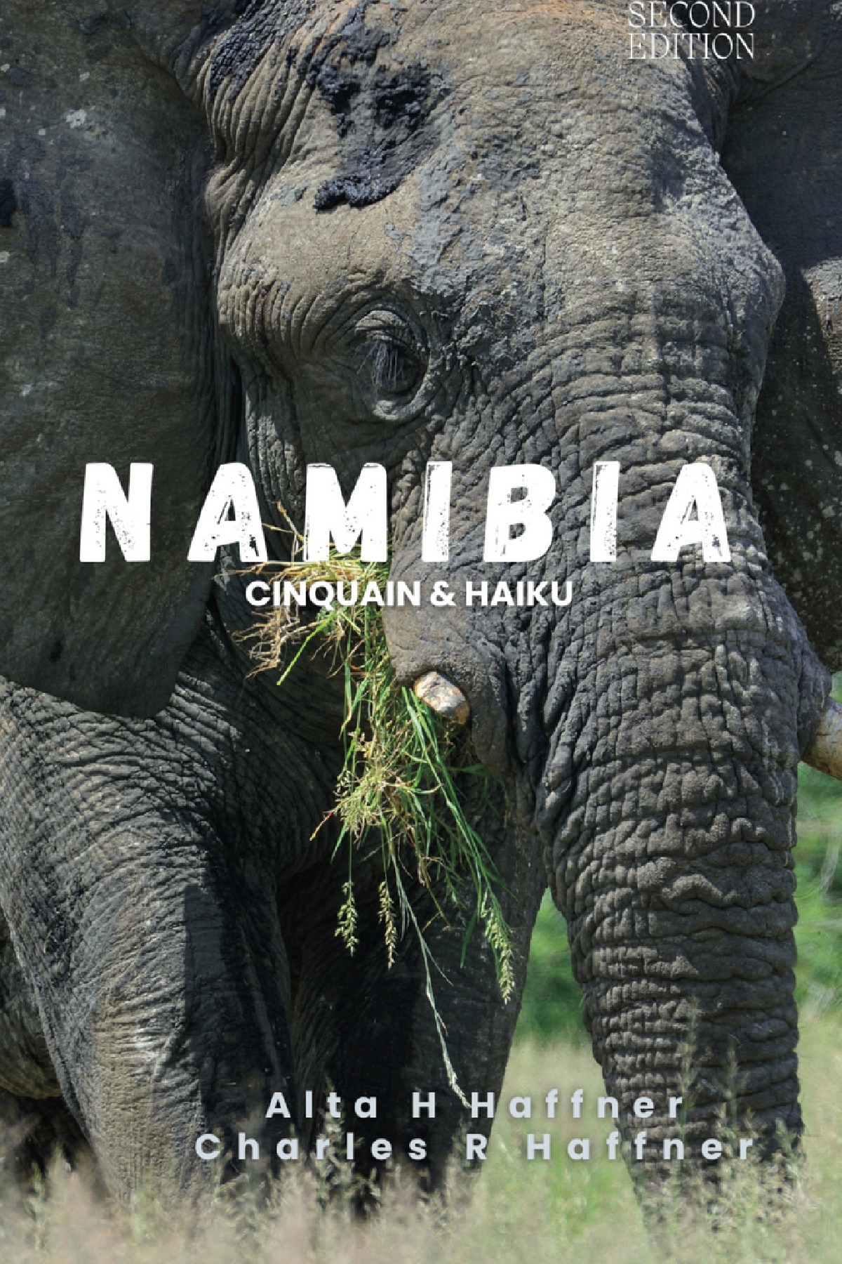 Namibia - Second Edition | Pothi.com