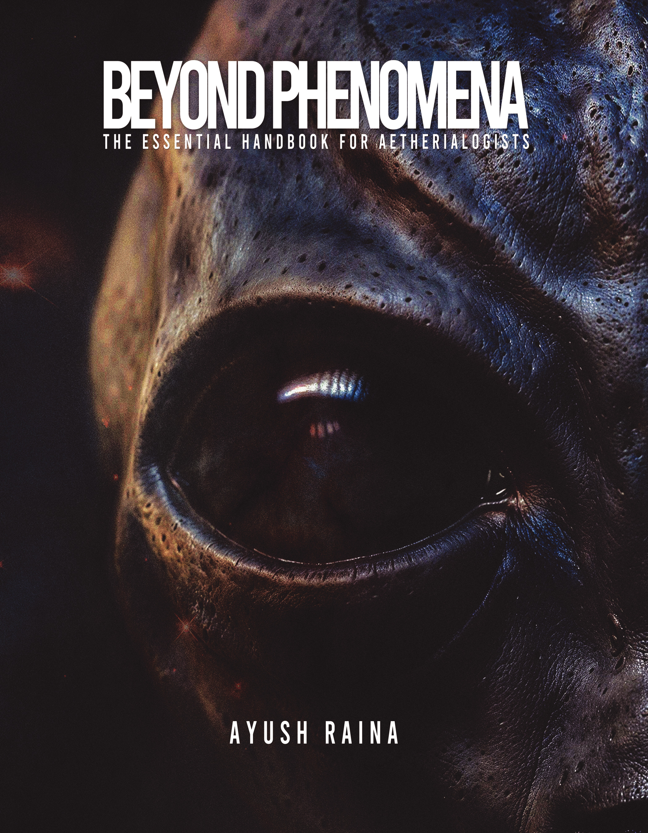 BEYOND PHENOMENA | Pothi.com