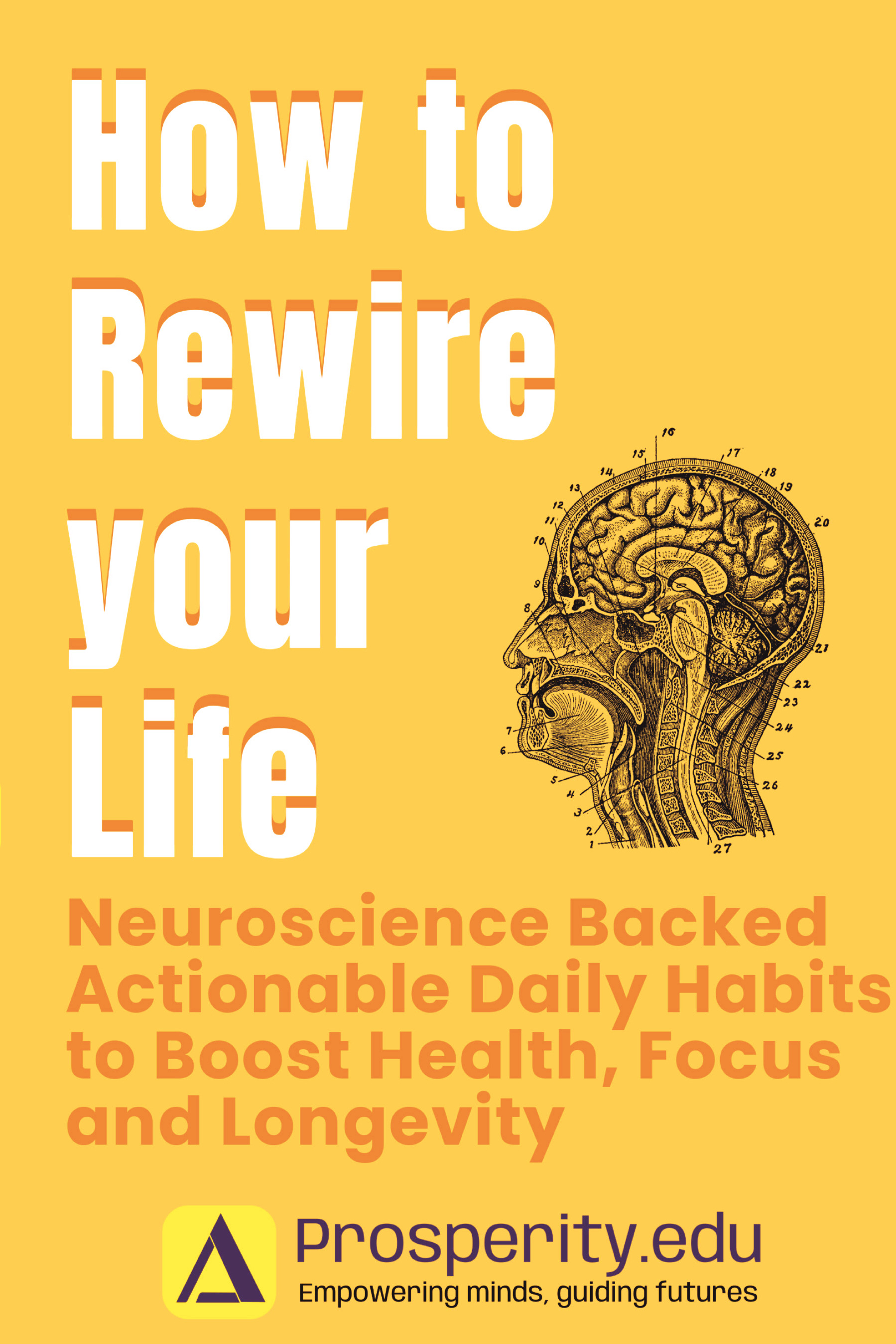 HOW TO REWIRE YOUR LIFE : NEUROSCSIENCE BACKED ACTIONABLE DAILY HABITS TO BOOST HEALTH, FOCUS ...