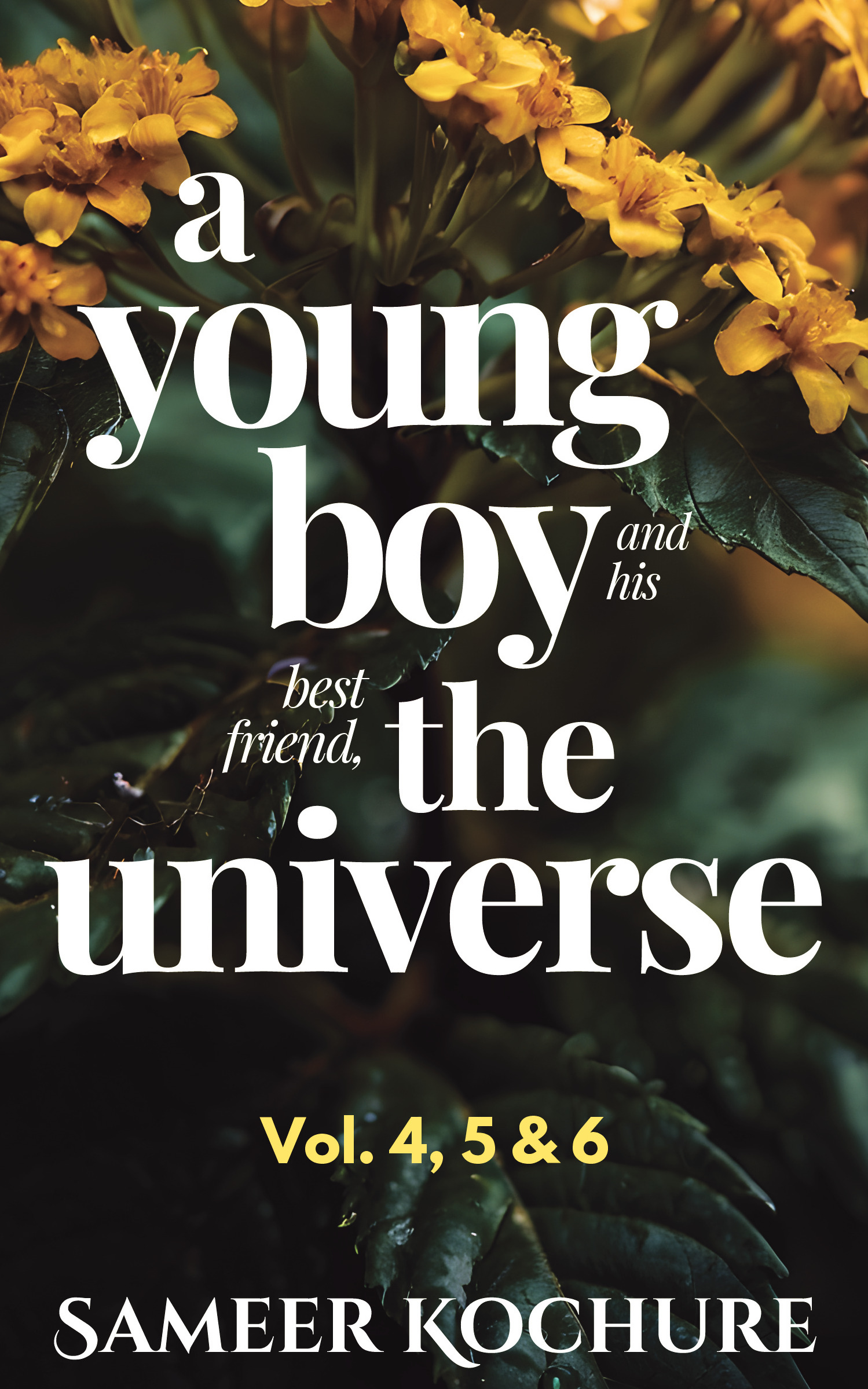 A Young Boy And His Best Friend, The Universe. – [Omnibus Vol. 4-6] | Pothi.com