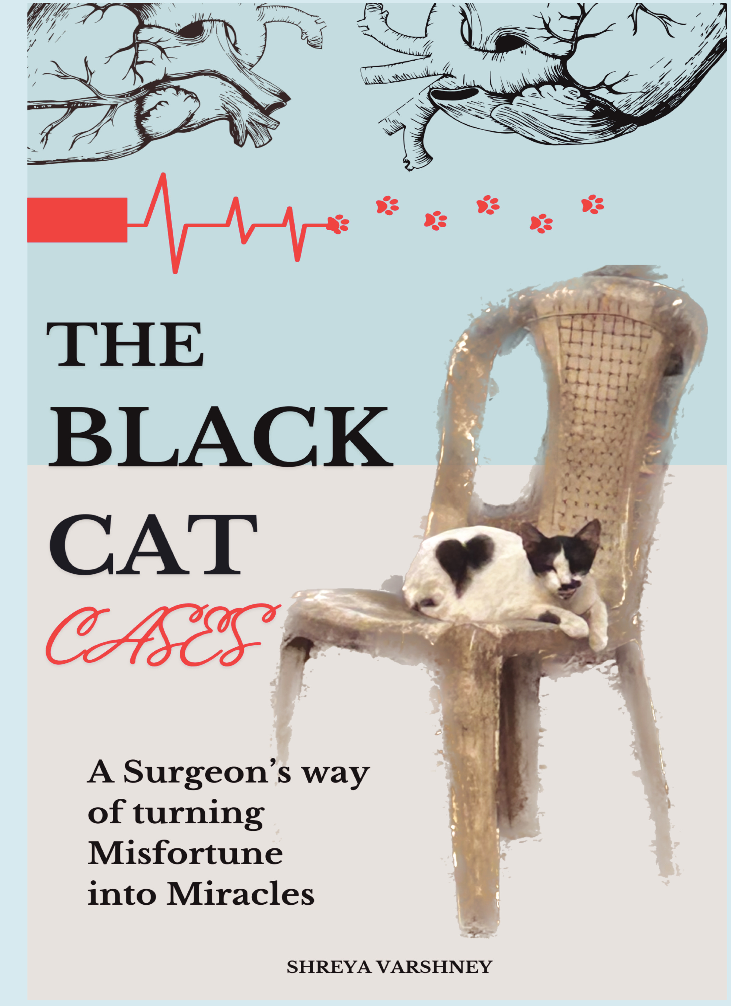 The Black Cat Cases | Pothi.com