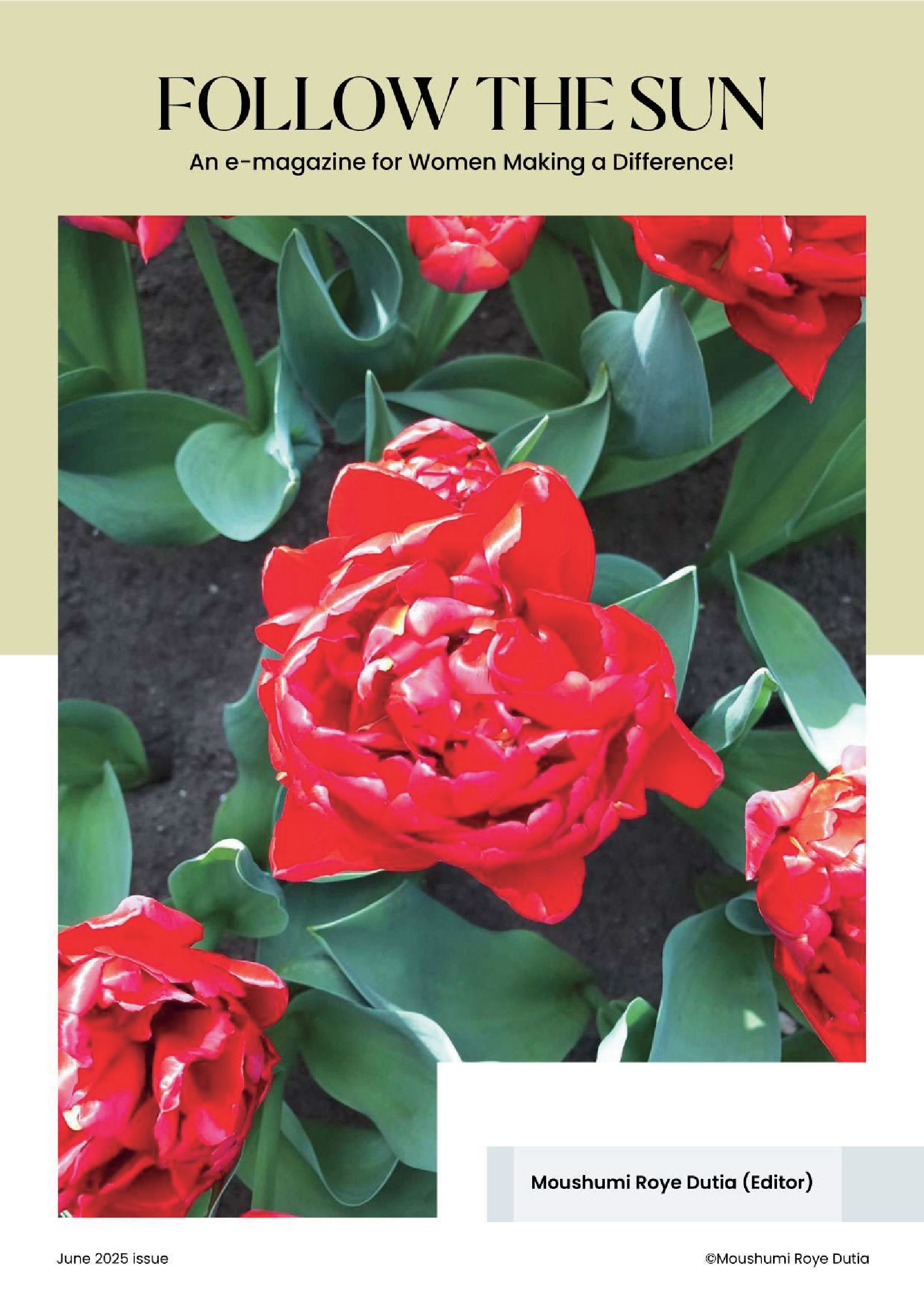 FOLLOW THE SUN (JUNE 2025 ISSUE) | Pothi.com