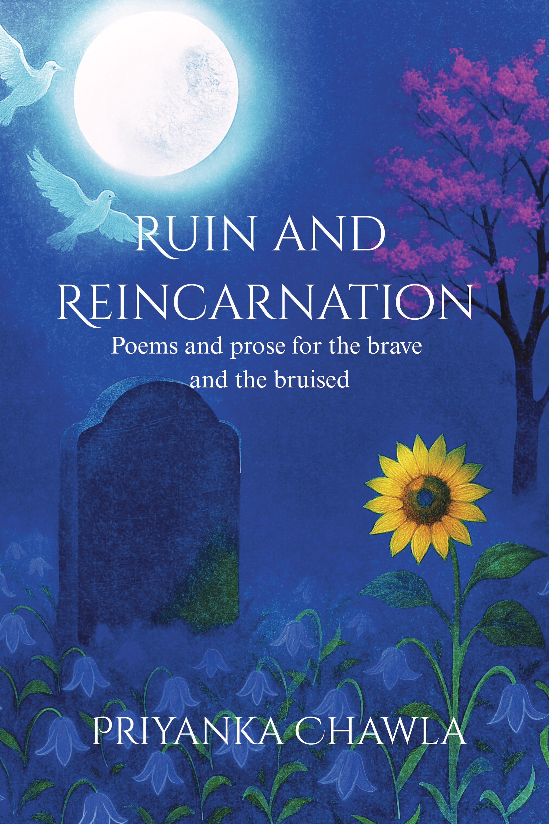 Ruin and Reincarnation | Pothi.com