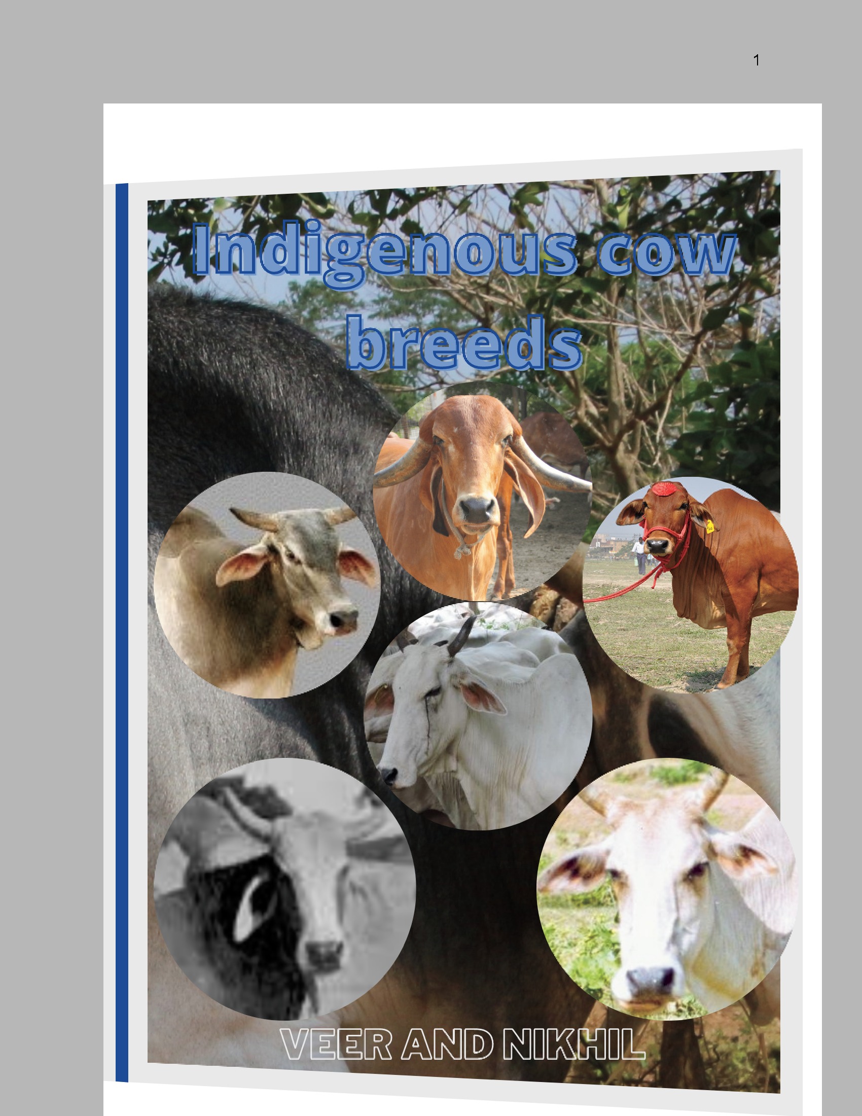 Indigenous cow breeds | Pothi.com