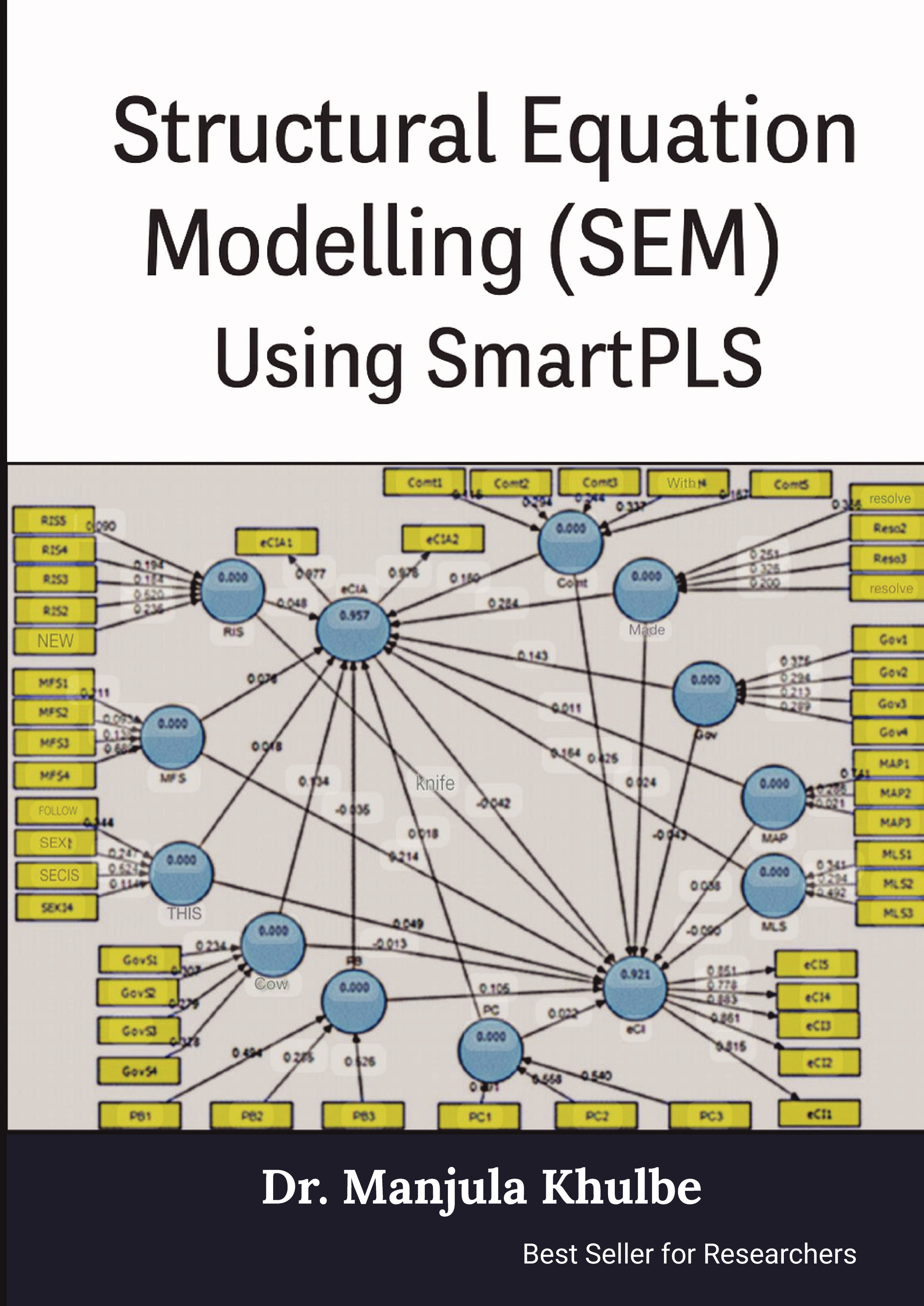 Structural Equation Modelling (SEM) Using SmartPLS | Pothi.com