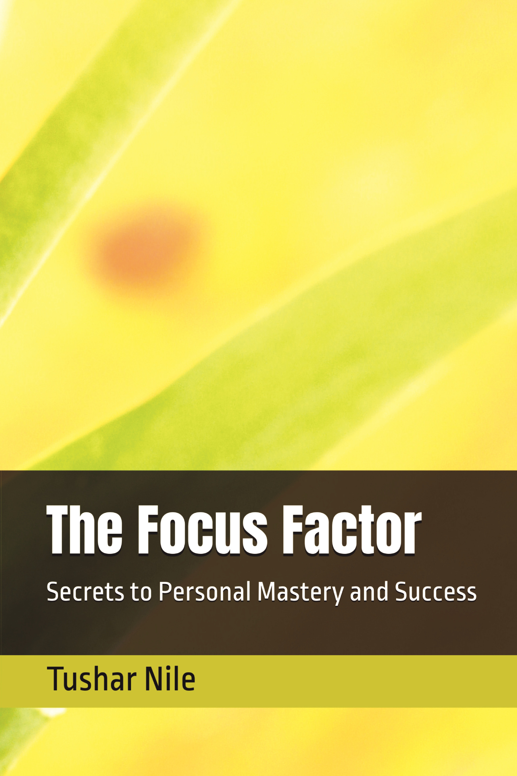 The Focus Factor | Pothi.com